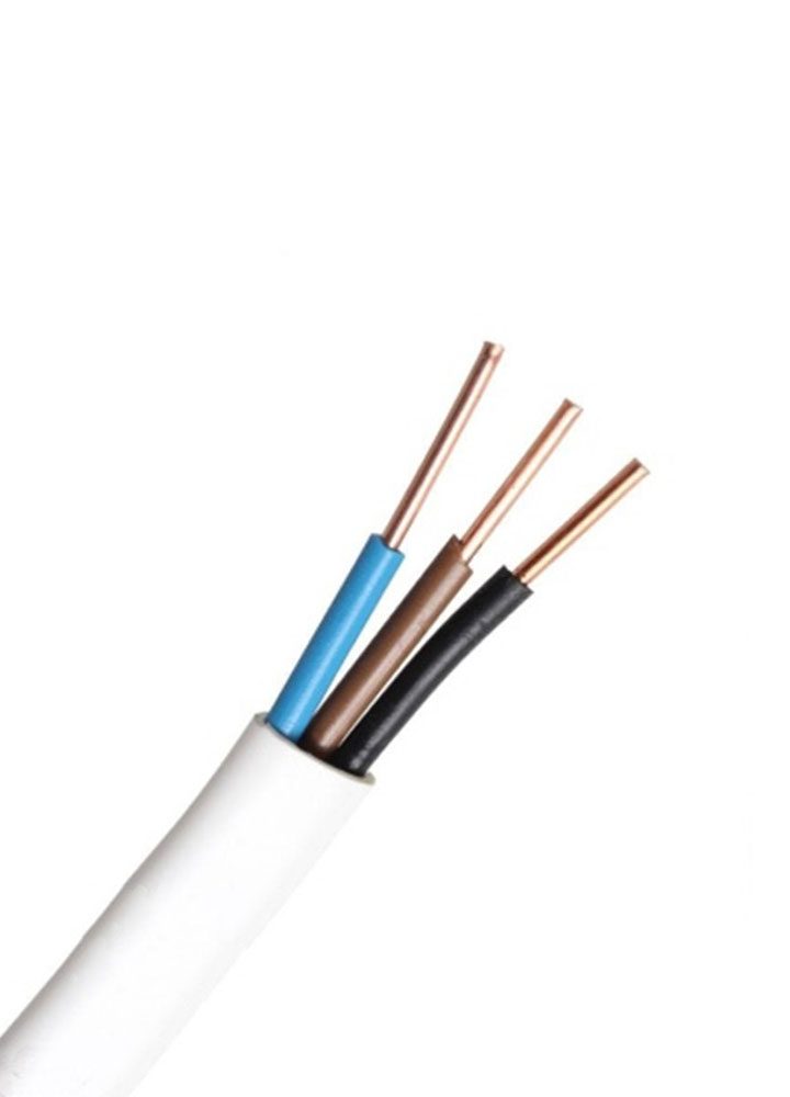 Flat Twin and Earthed Wire-ECC Cable, BS Standard